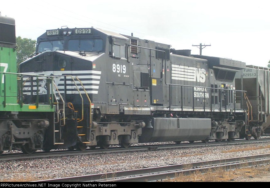 NS 8919